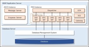 SAP ABAPプロセス - 株式会社レイエントシステム Rayent System